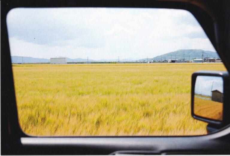 日當リ写真館 『ふたり』の写真館vol.4 – potari