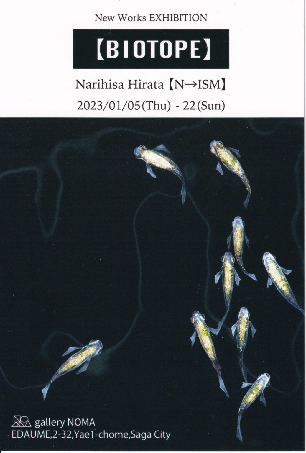 平田 晴久 新作展【BIOTOPE】 – potari