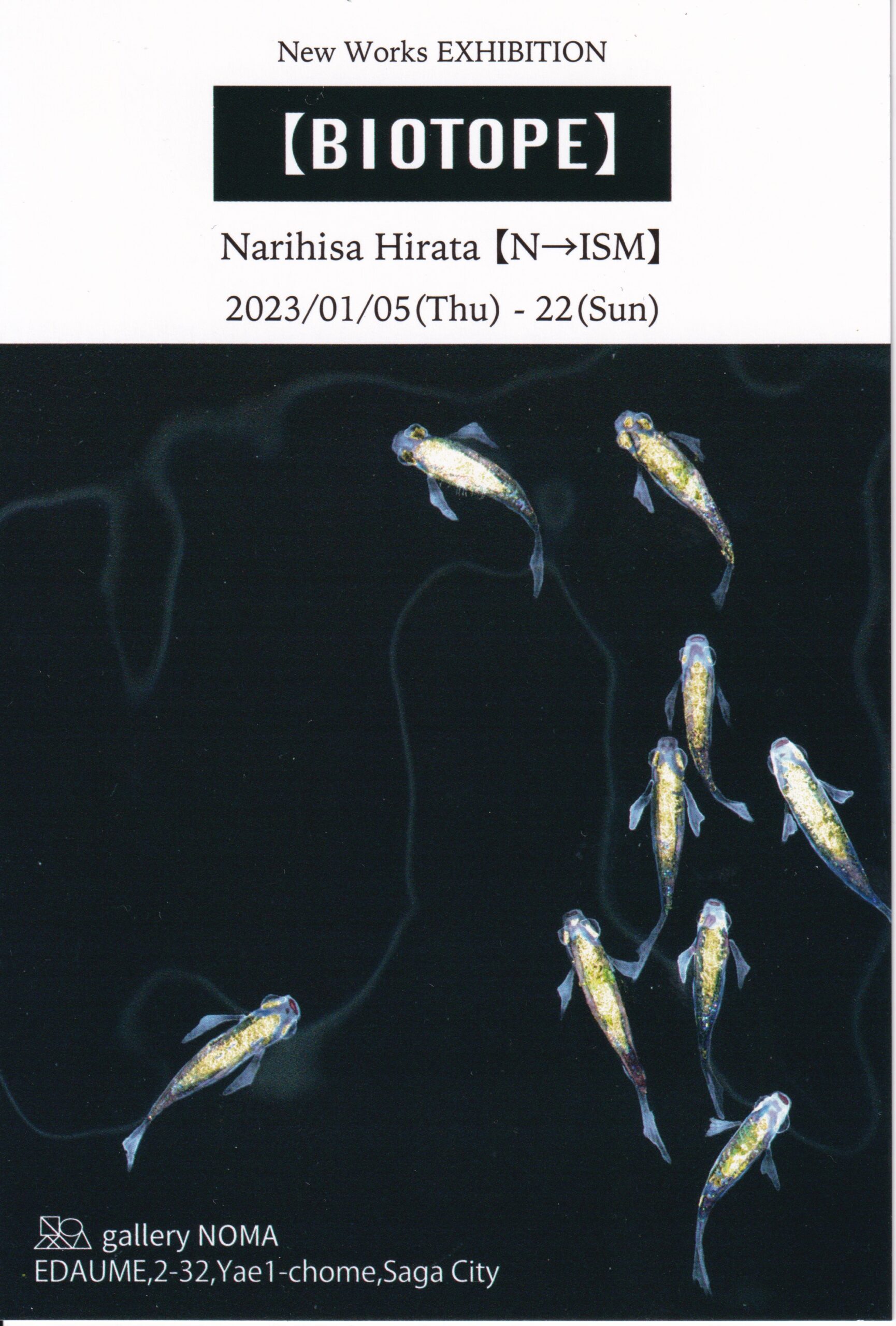 平田 晴久 新作展【BIOTOPE】 – potari