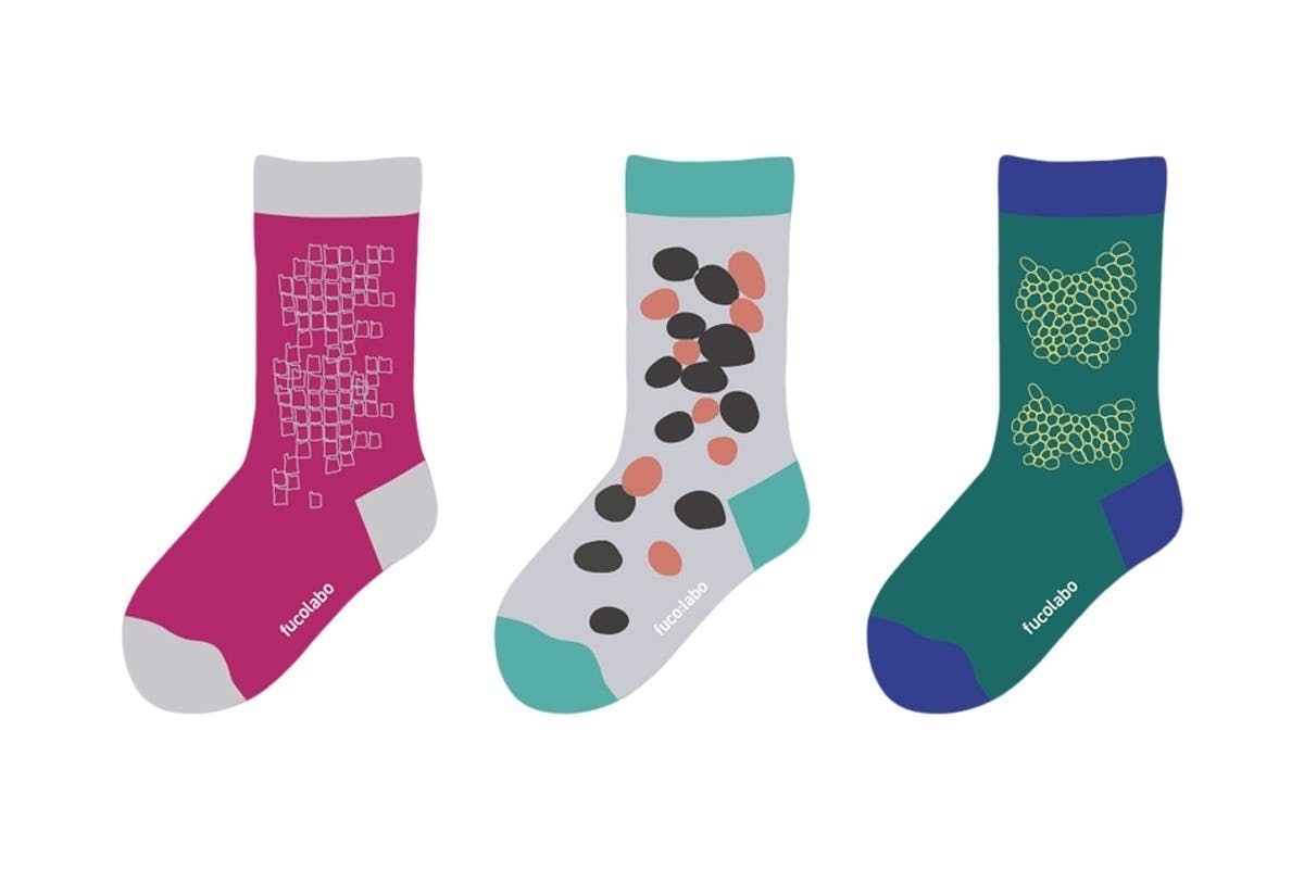 fuco:さんの靴下づくり – potari