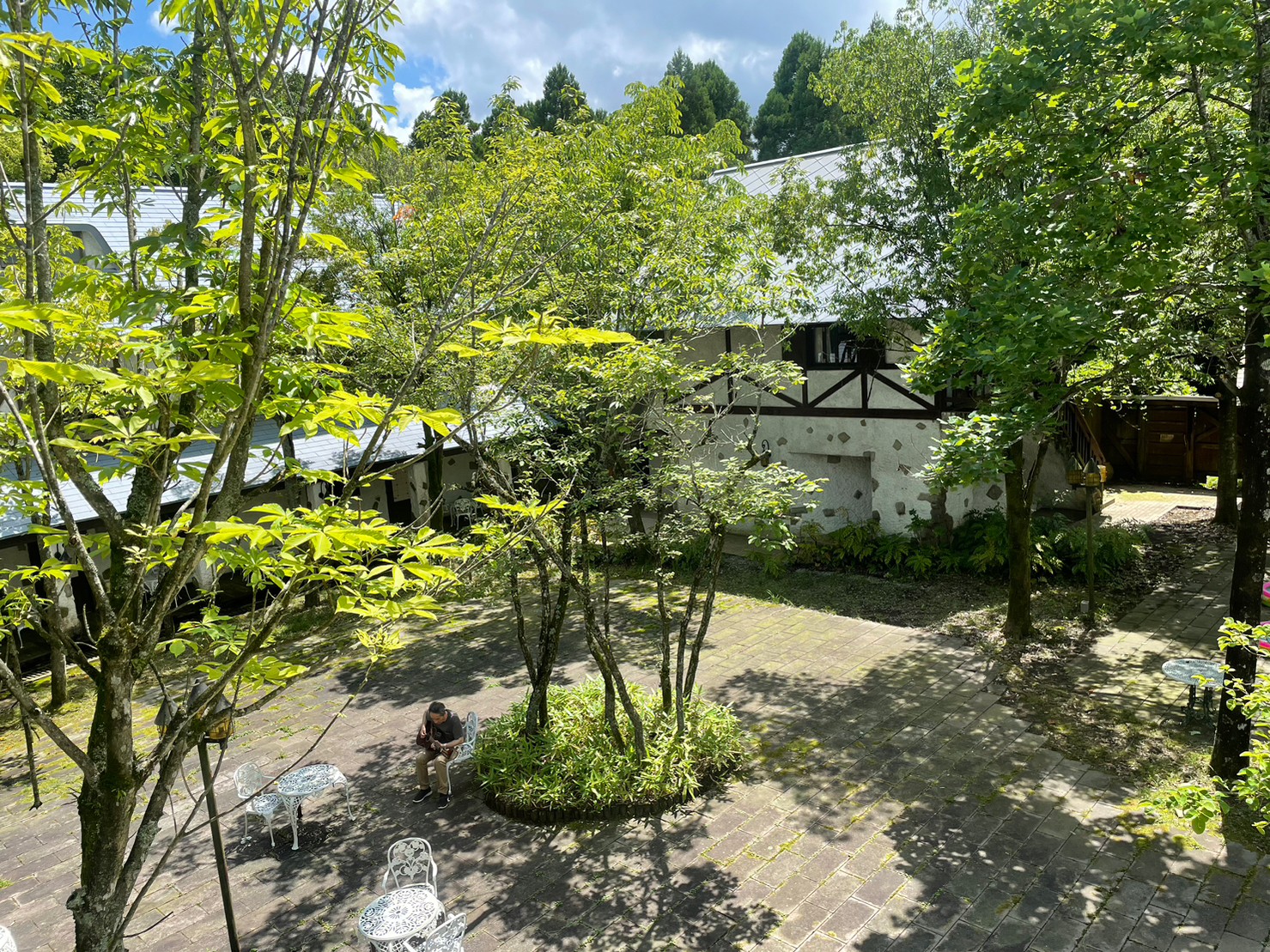 どんぐり村の歌ができました – potari