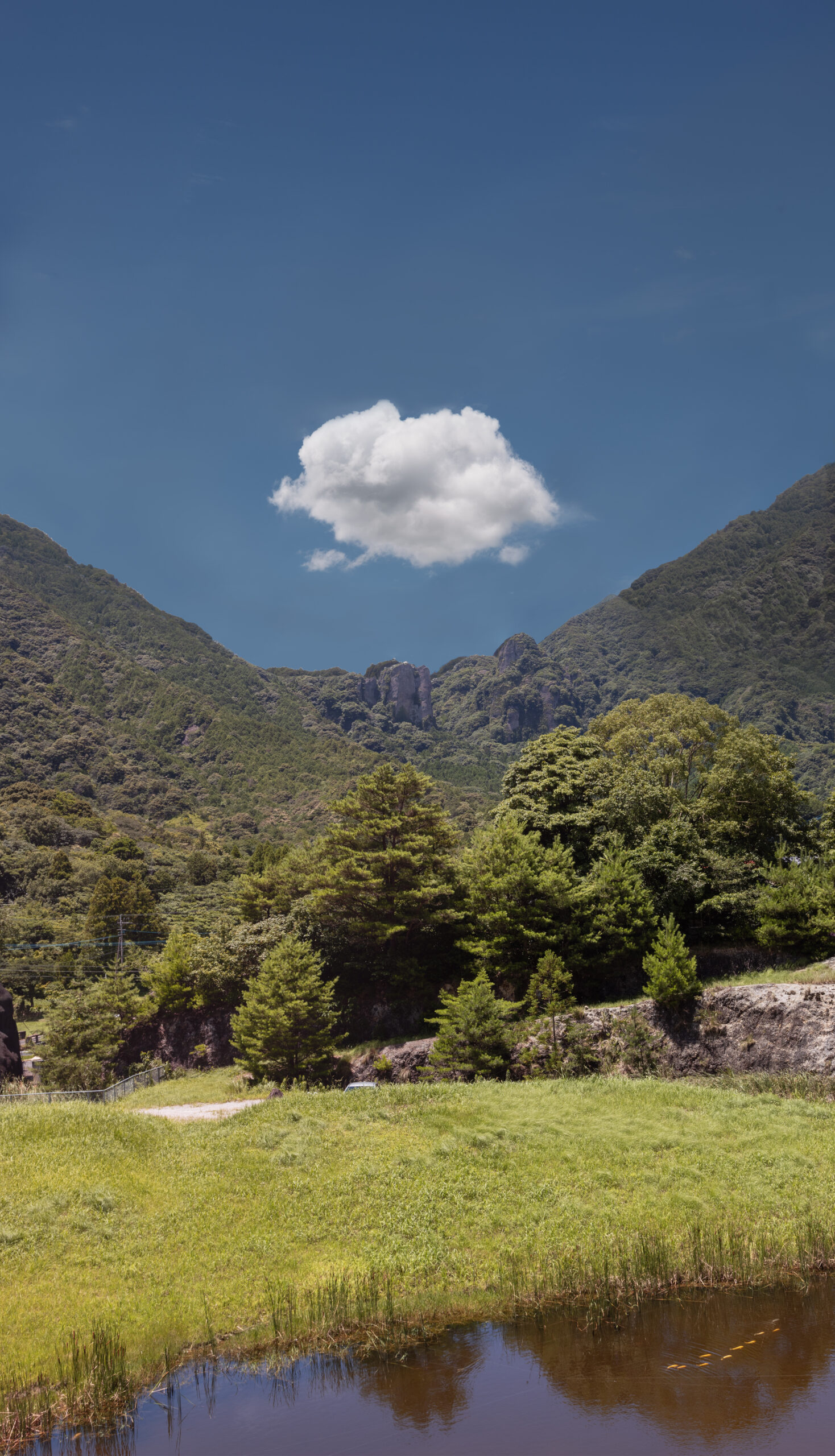 「Daydream Town」／「Standing on the circuit 」 – potari