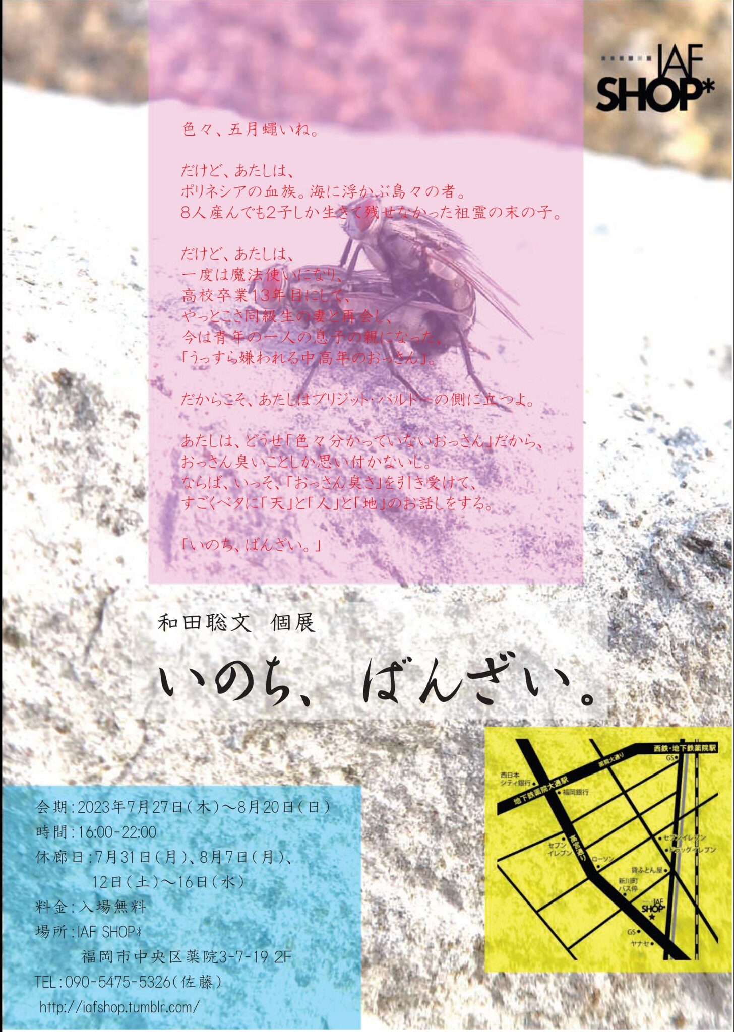 和田聡文個展 「いのち、ばんざい。」 – potari