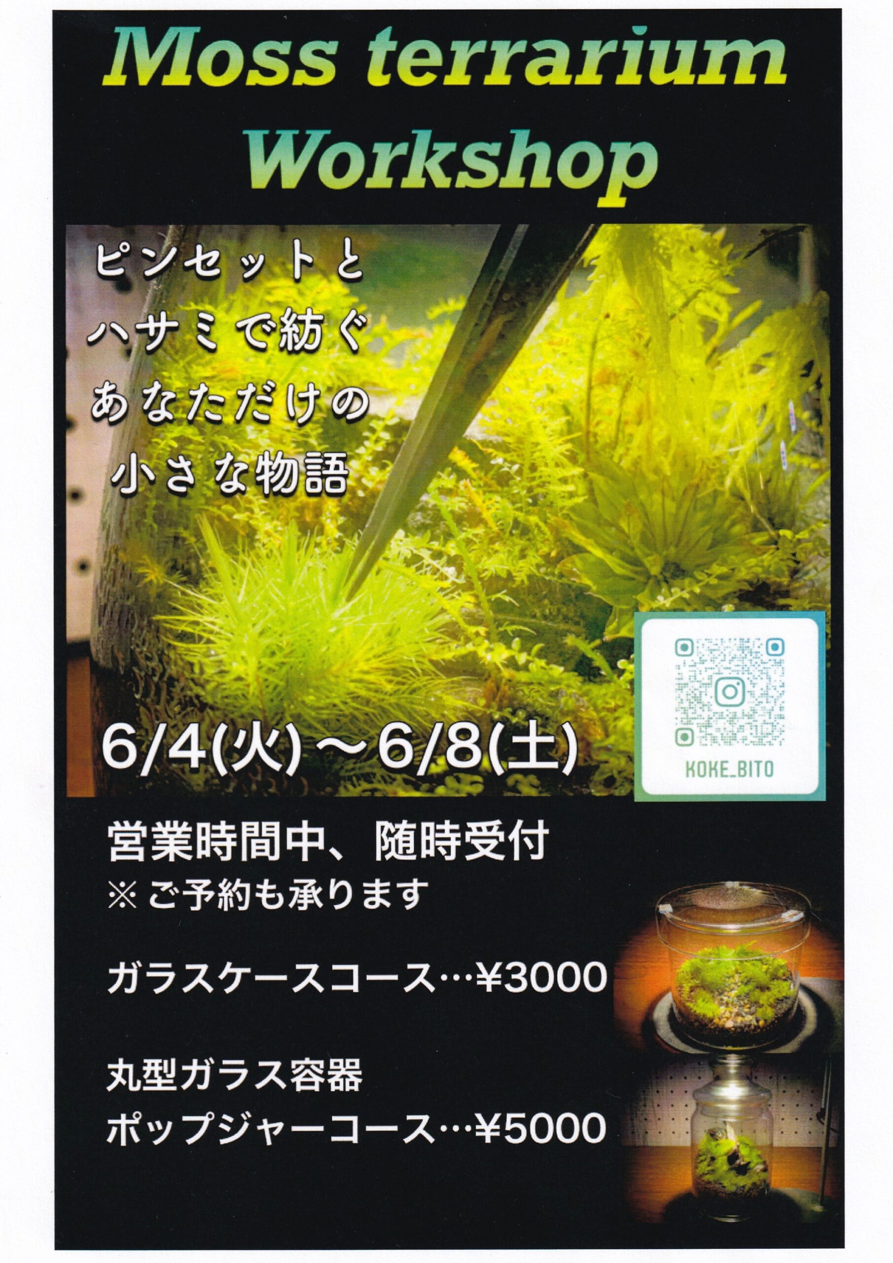 Moss terrarium Workshop – potari