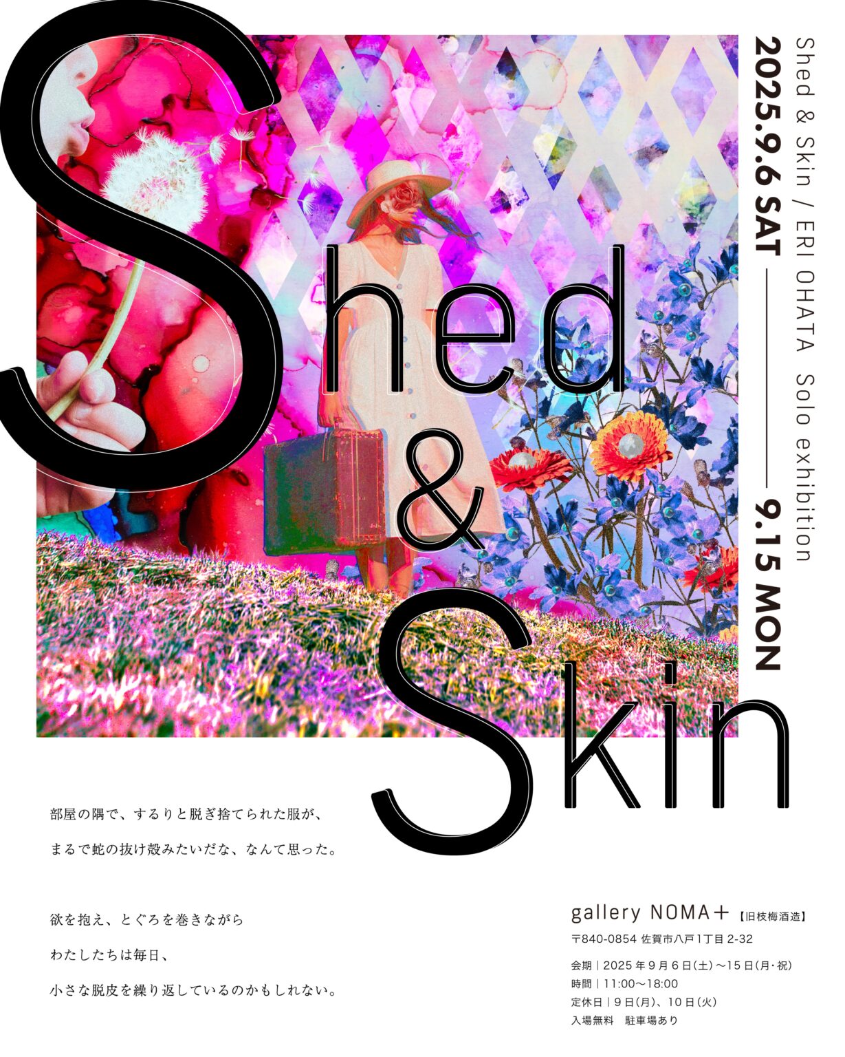 オオハタエリ初個展『Shed & Skin』 – potari